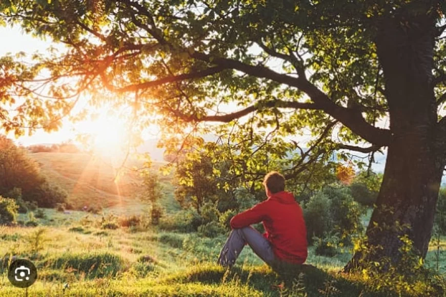 Contoh Bunyi Alam - Halal.id